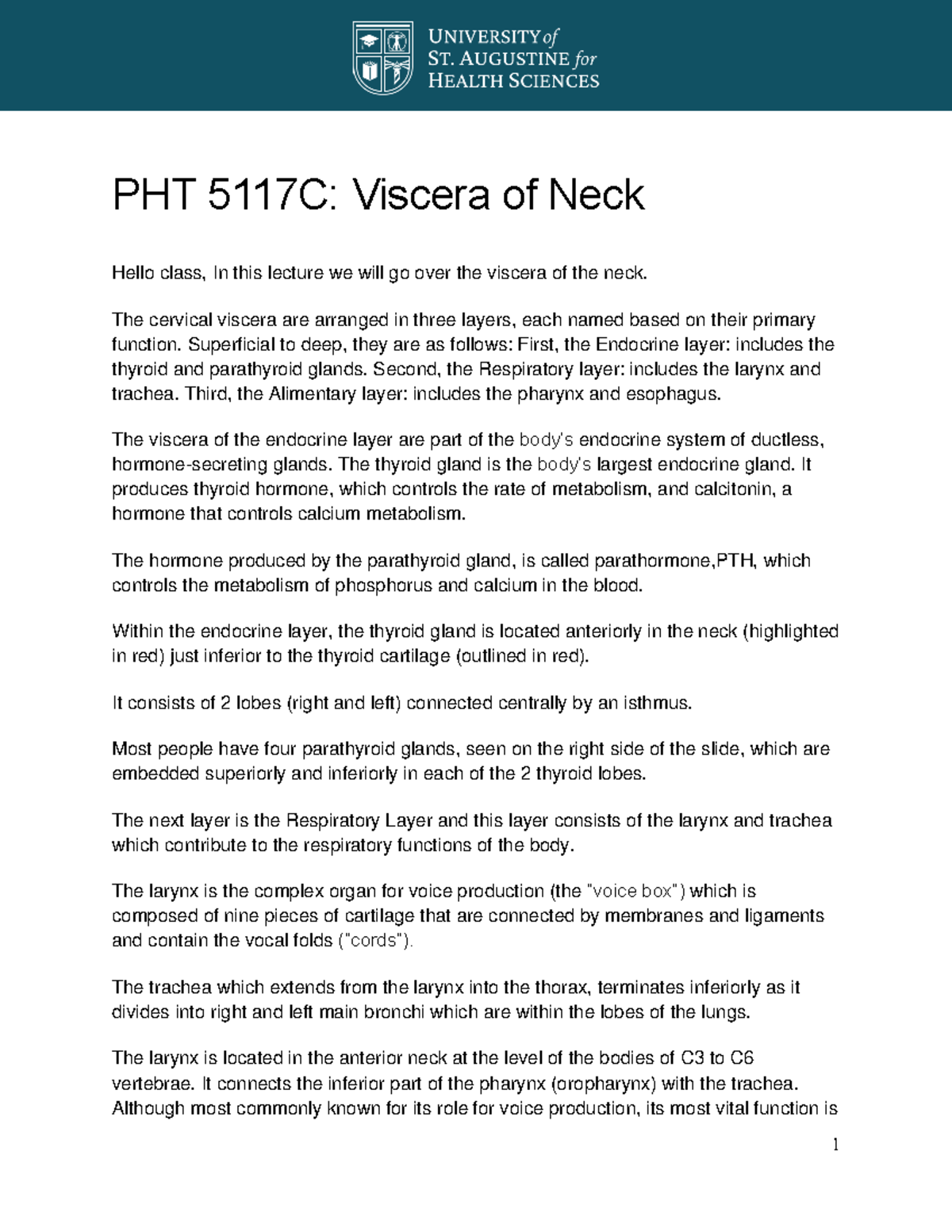 PHT 5117C: Lecture on Cervical Viscera Layers and Functions - Studocu