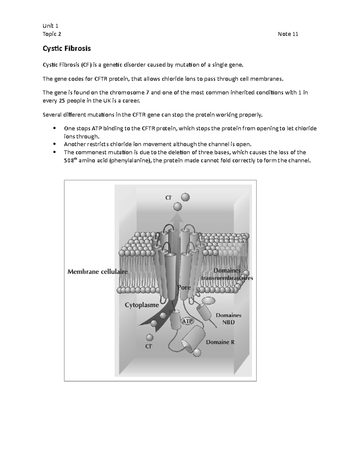 CF Notes: Detailed Insights on Cystic Fibrosis in A-Level Biology - Studocu