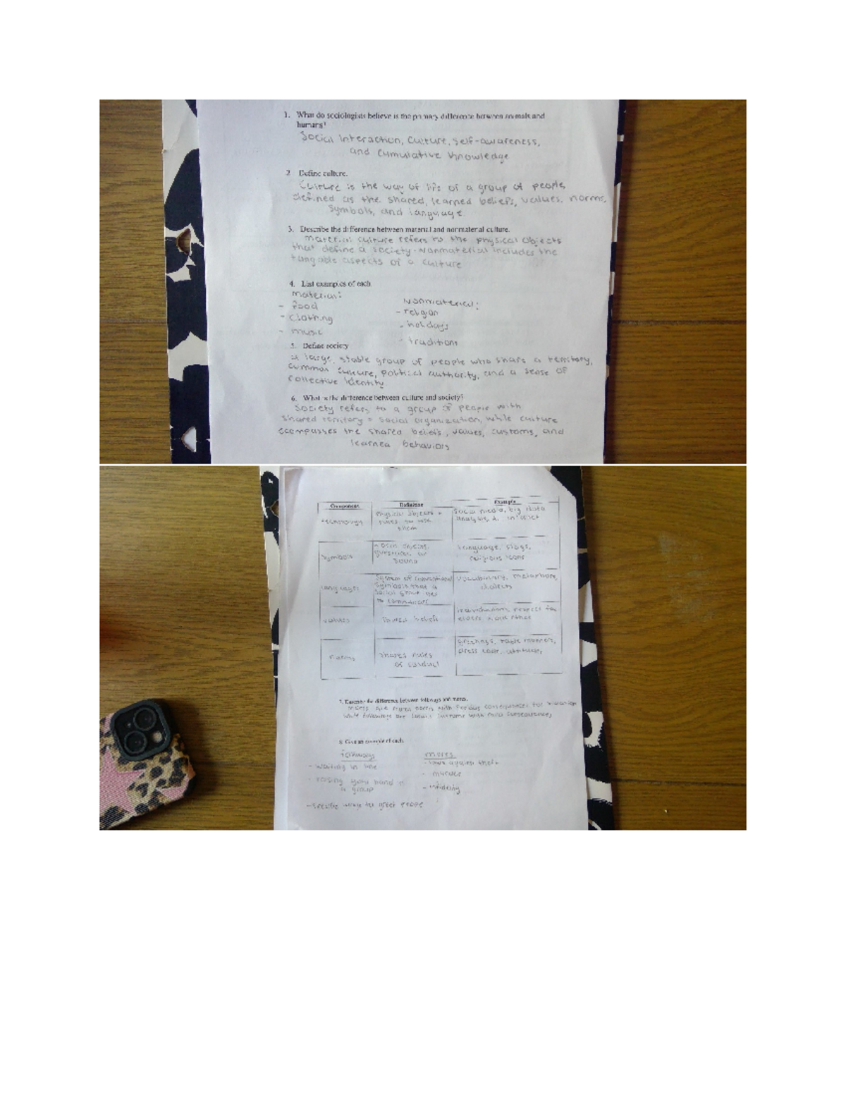 Final Exam Study Guide: Culture & Society Concepts (ABC123) - Studocu