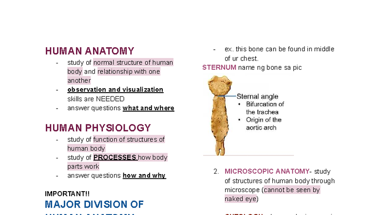 HUMAN ANATOMY & PHYSIOLOGY: Comprehensive Study Guide (Intro to Anatomy ...
