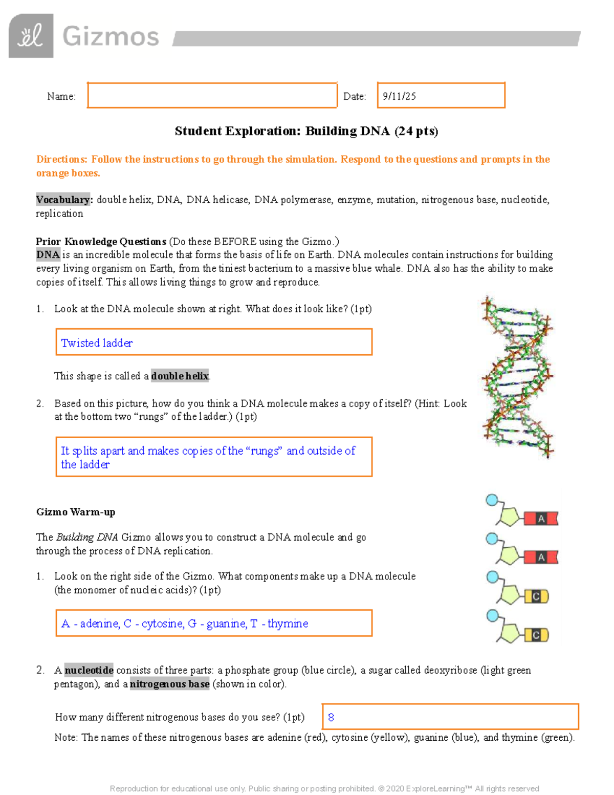Gizmo Exploration: Building DNA Simulation Guide (24 pts) - Studocu