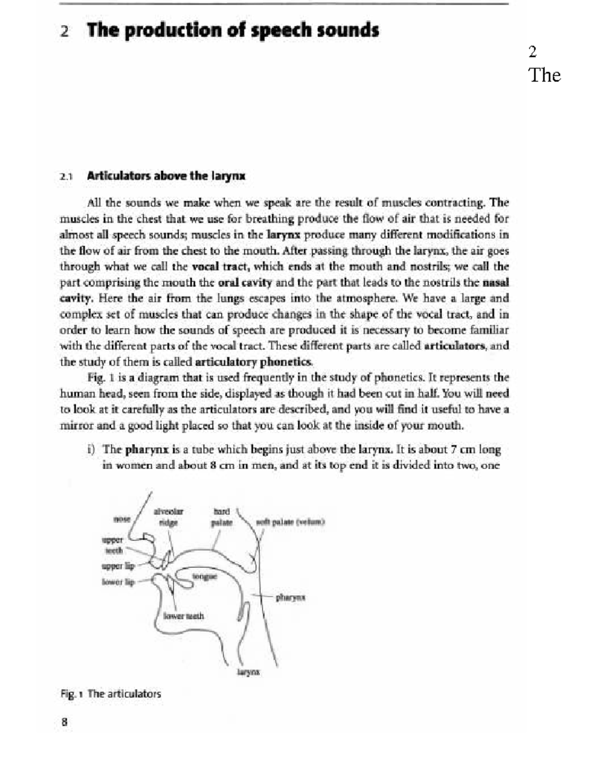 Articulators & Vowel Production in Speech Sounds - Phonetics 101 - Studocu