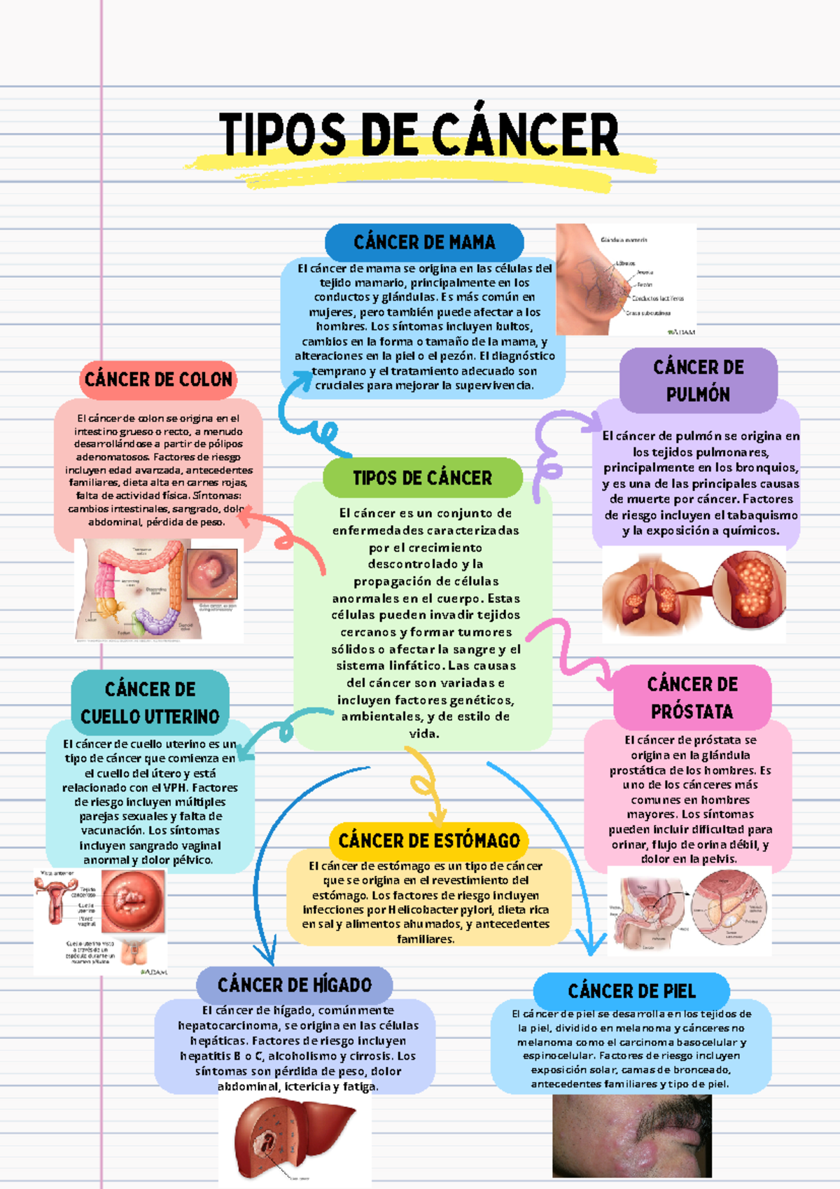 Tipos de Cáncer: Mapa Conceptual Creativo A4 Colorido - Studocu