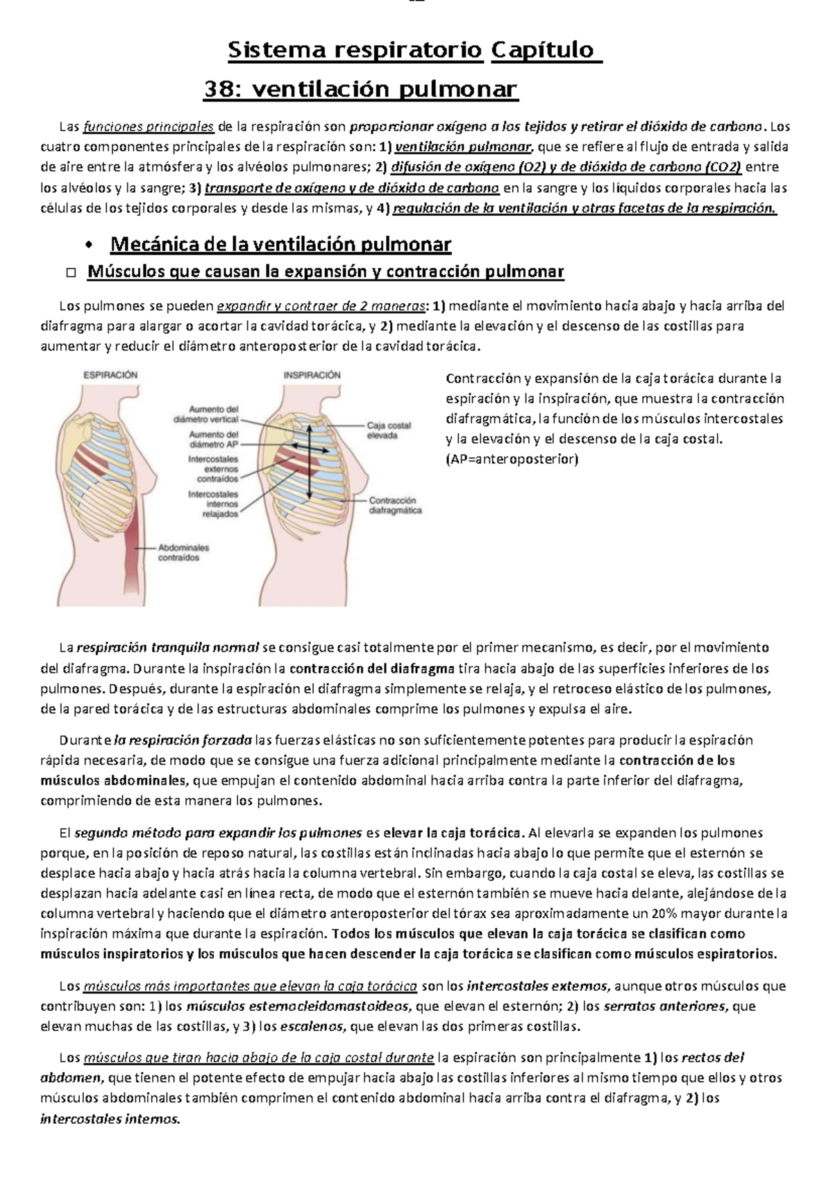 Fisiología Respiratoria Guyton - Sistema respiratorio Capítulo 38: ventilación pulmonar Las ...