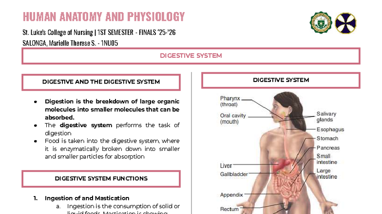 HUMAN ANATOMY AND PHYSIOLOGY 1NU05 DIGESTIVE SYSTEM FINAL EXAM NOTES ...