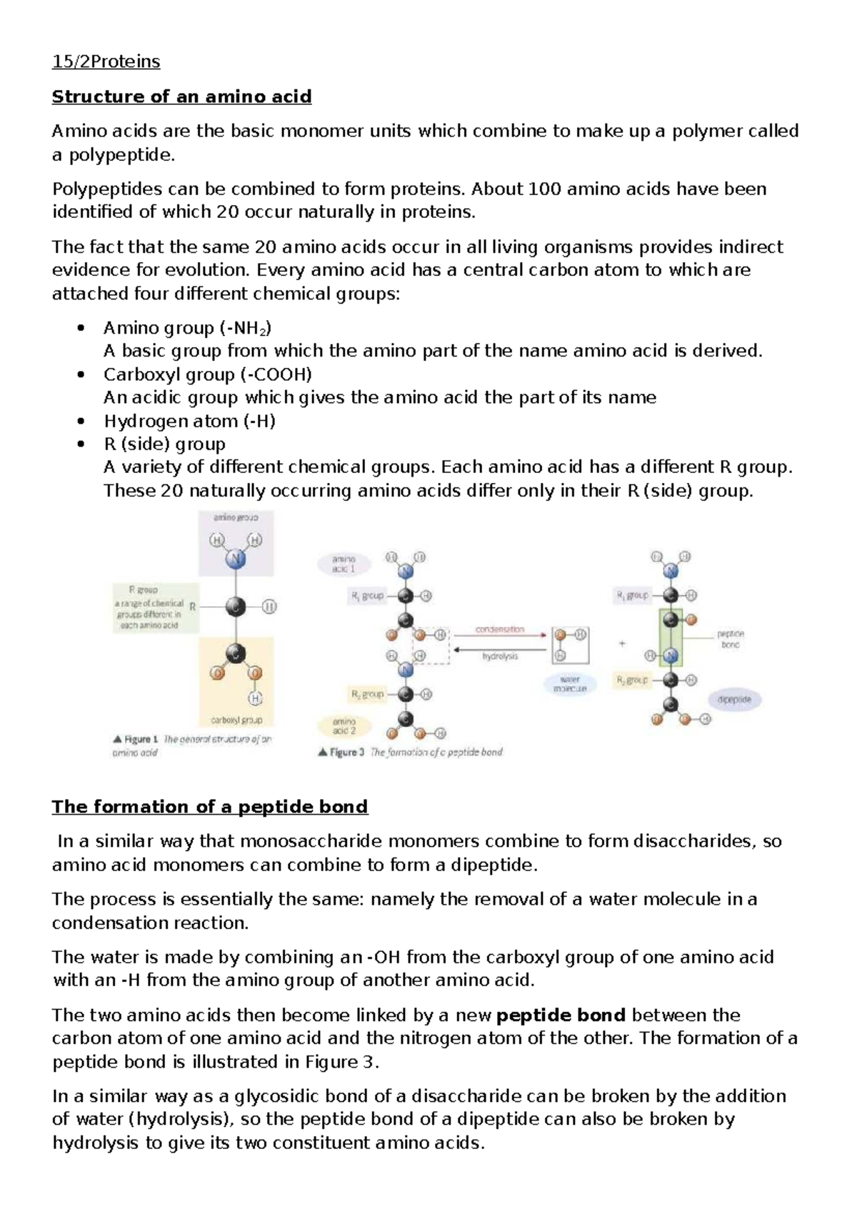 Proteins and amino acids: Structure, function, and enzyme action (1.6 ...