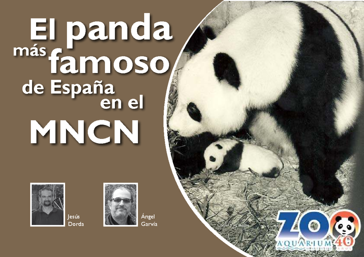 Nm08: Chulín y su madre, los pandas en el MNCN y su conservación - Studocu