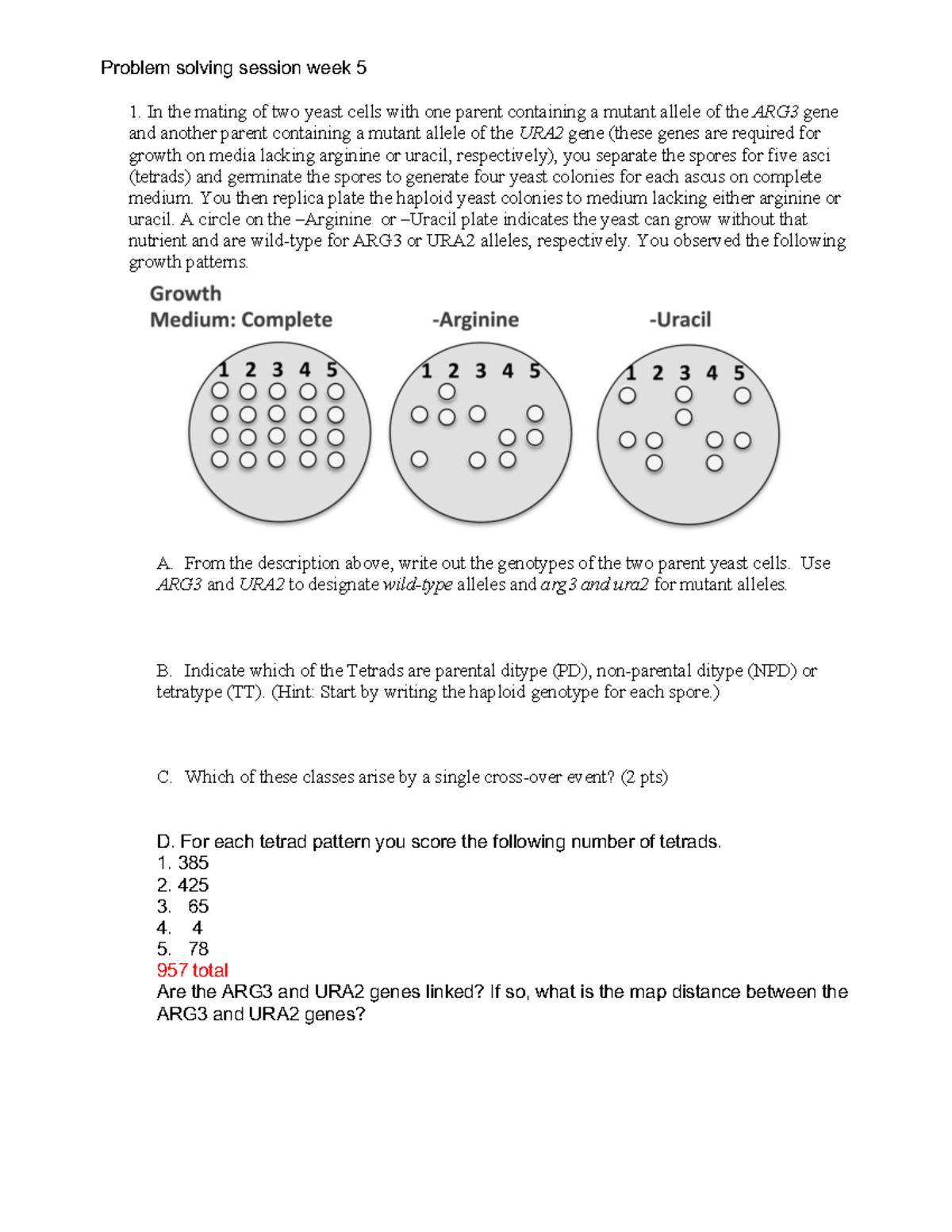 2970 F23 Problem Solving Session Week 5: Yeast Genetics Analysis - Studocu