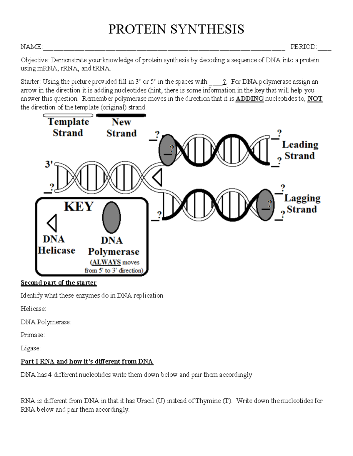 Protein Synthesis Lesson (BIO101): Understanding DNA to Protein - Studocu