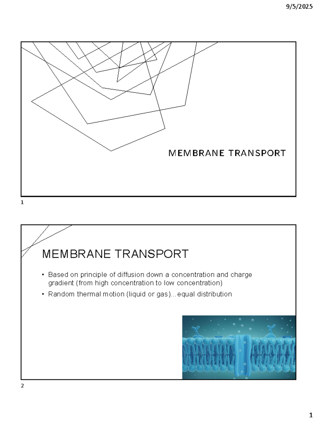 Membrane Transport Mechanisms (BIO 101): Diffusion, Gating, and Cytosis ...