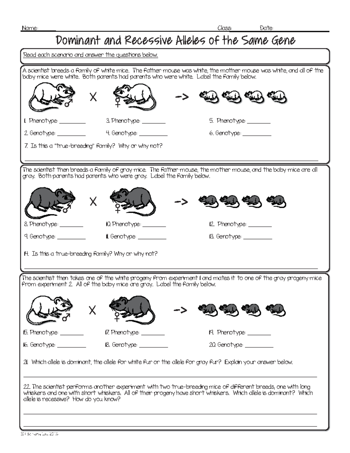 Biology HW: Dominant & Recessive Alleles Worksheet - Studocu