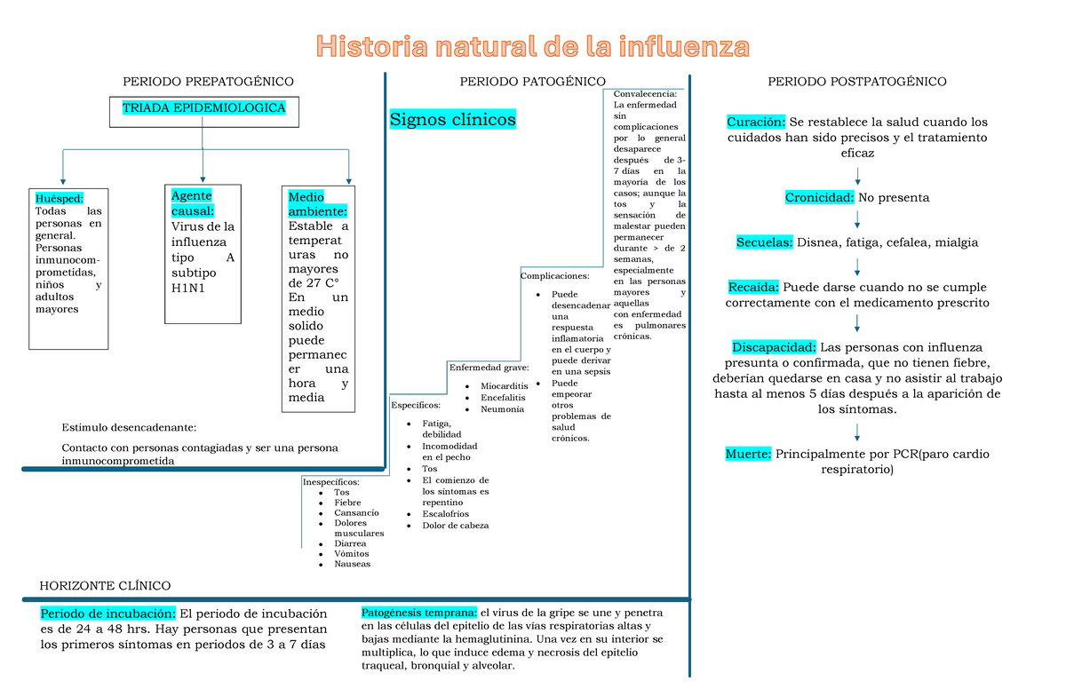 Historia Natural de la Influenza: Análisis y Sintomatología - Studocu