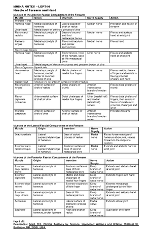 Muscles of the Neck - MOINA - MOINA NOTES – LDPT Muscles of the Neck ...