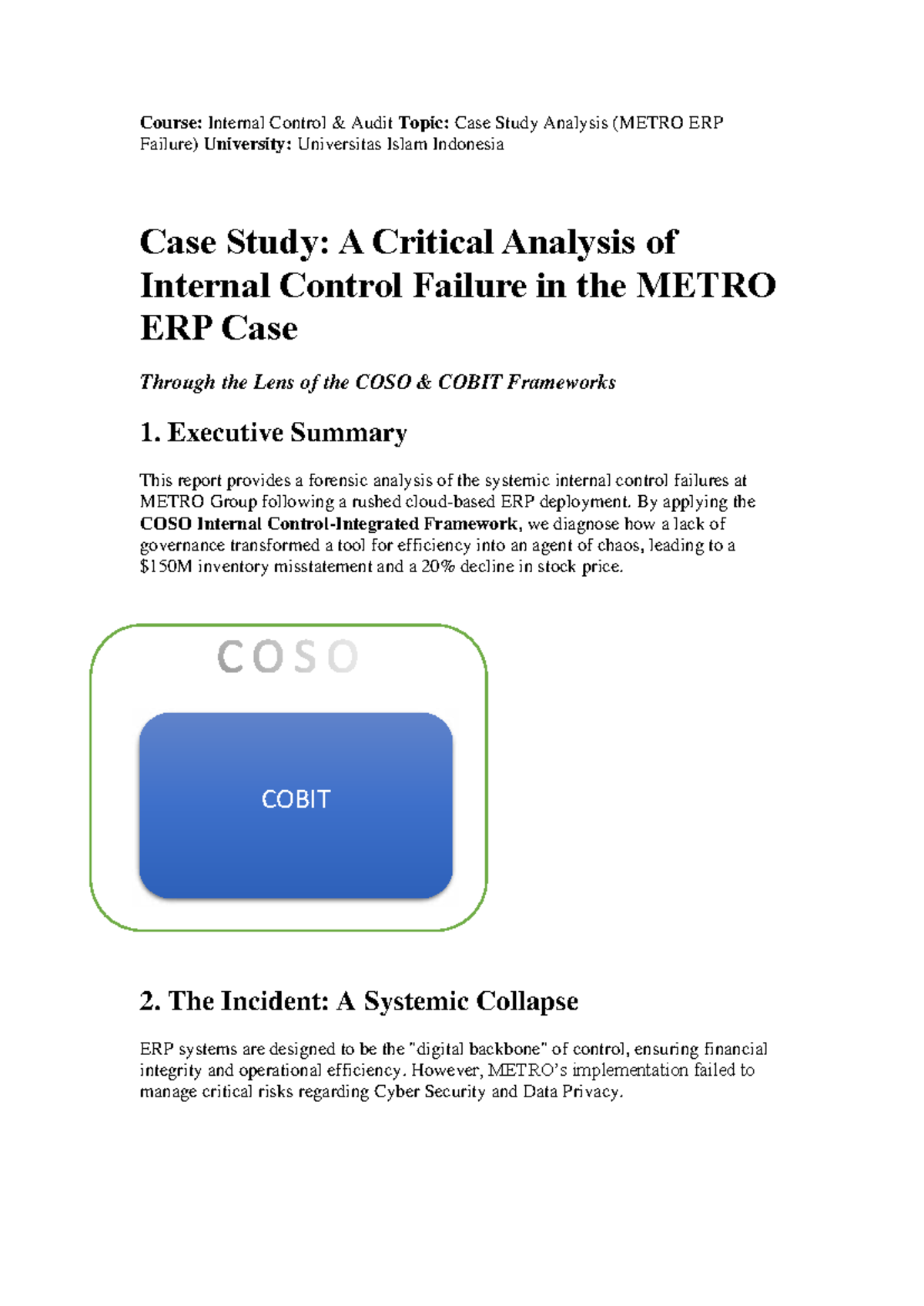 Case Study: Internal Control Failures in METRO ERP (COSO & COBIT) - Studocu