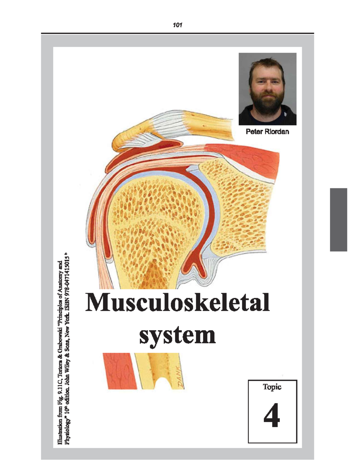 Msk 1 - Anatomy and Physiology of the Skeletal System Notes - Studocu