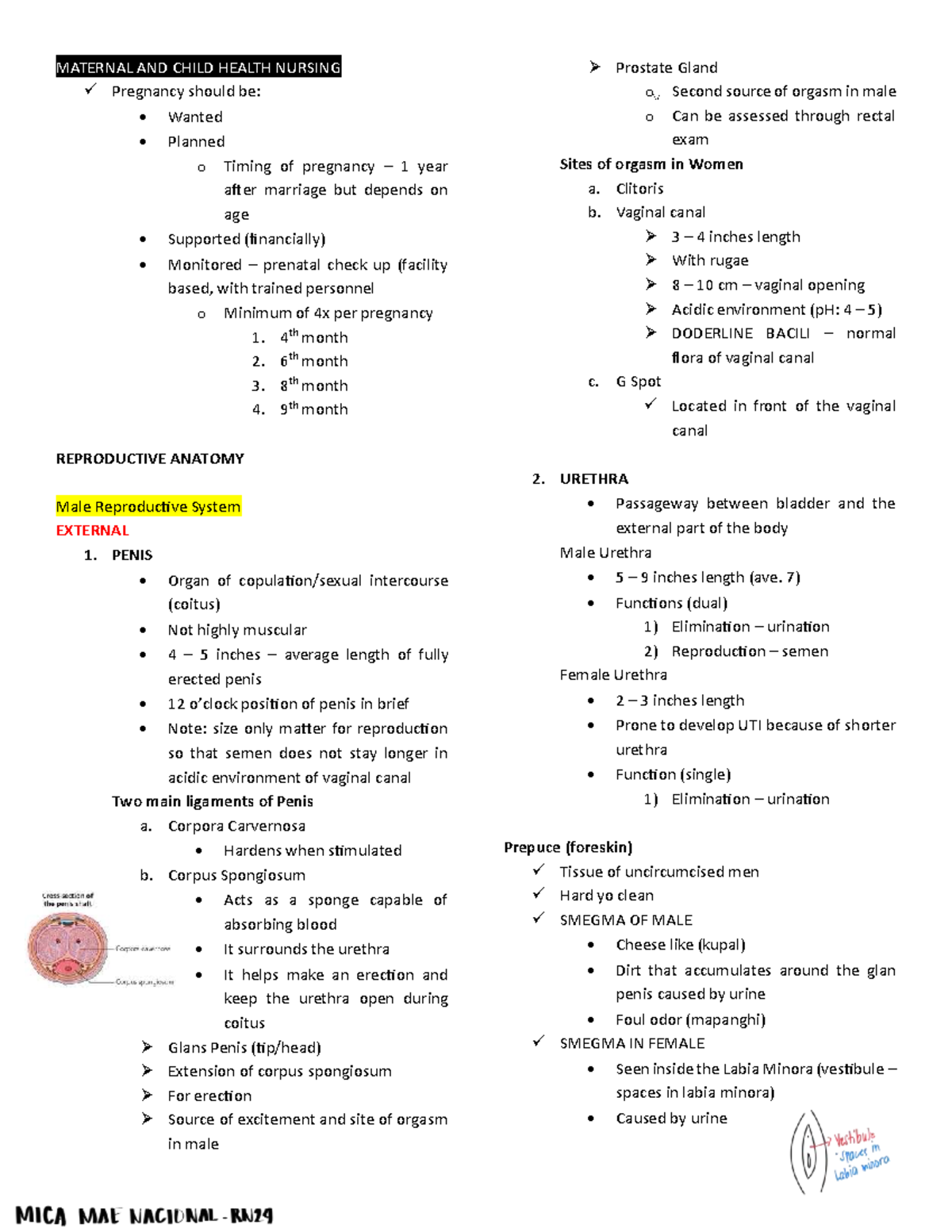 MCHN - Maternal and Child Health Nursing: Pregnancy Overview and Key ...