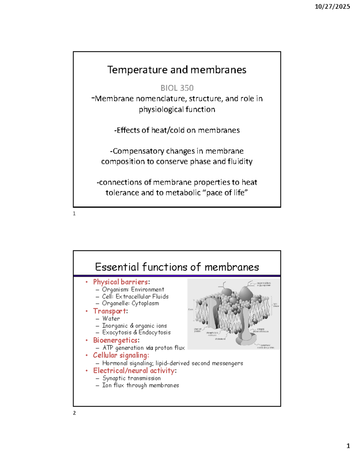 BIOL 350 Lecture: Temperature and Membrane Dynamics - Studocu