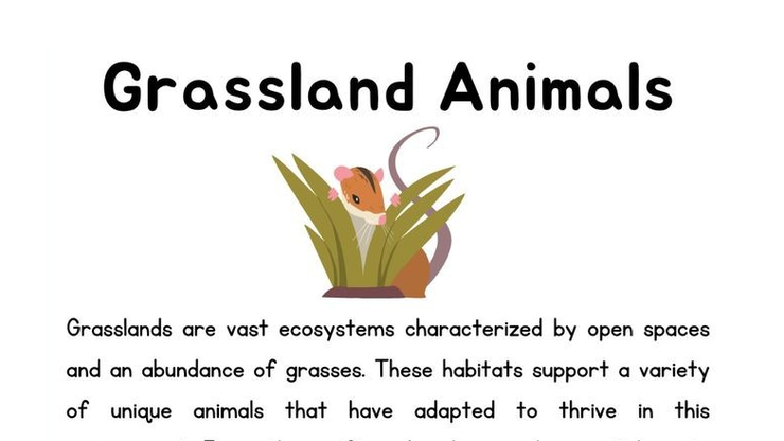 Grassland Animals: Reading Comprehension 2 Insights - Studocu