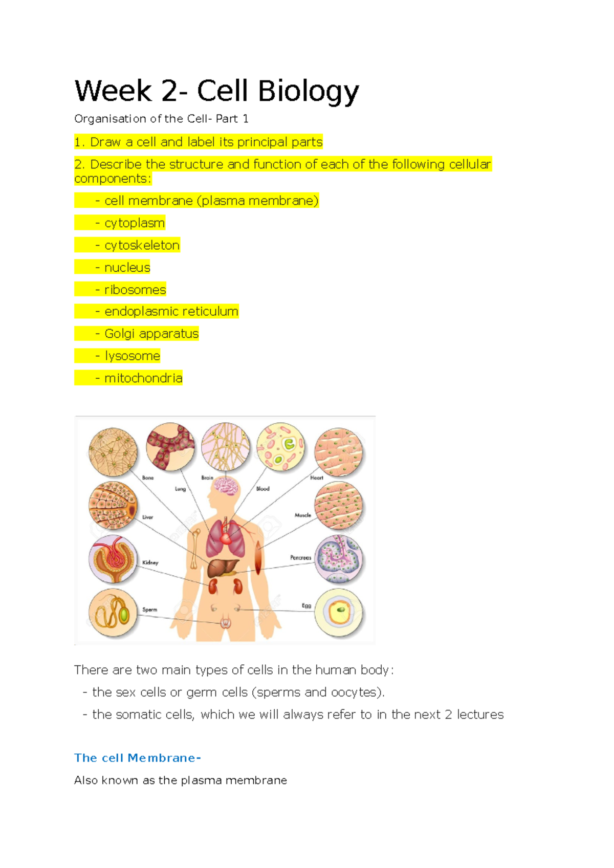 Week 2 Cell Biology - Lecture Notes on Cellular Structure & Function ...