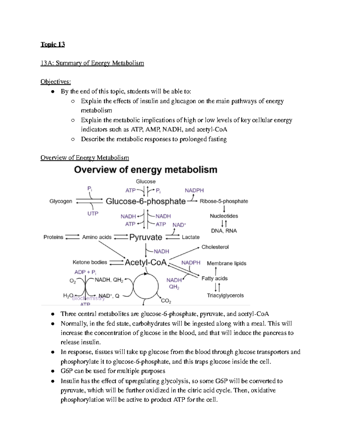 Biochem Notes - 1 to 23 - Topic 13 13A: Summary of Energy Metabolism ...