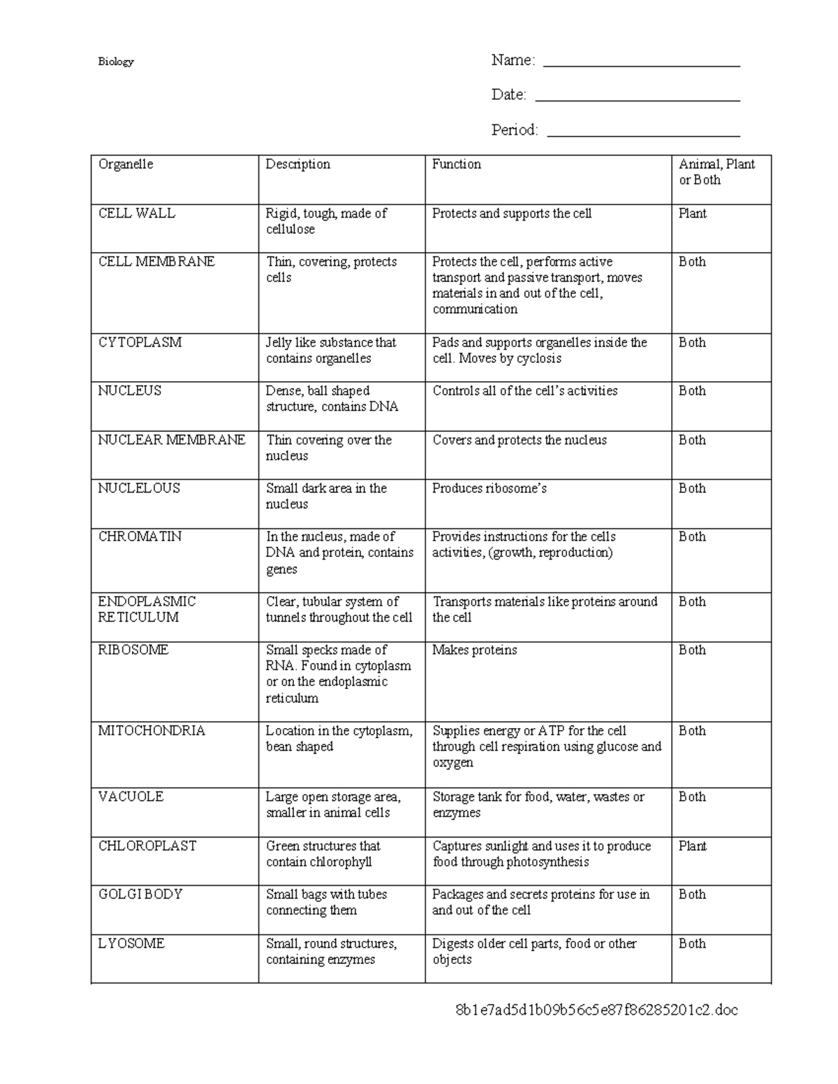 Cell Organelles Review: Functions and Analogies in Biology - Studocu