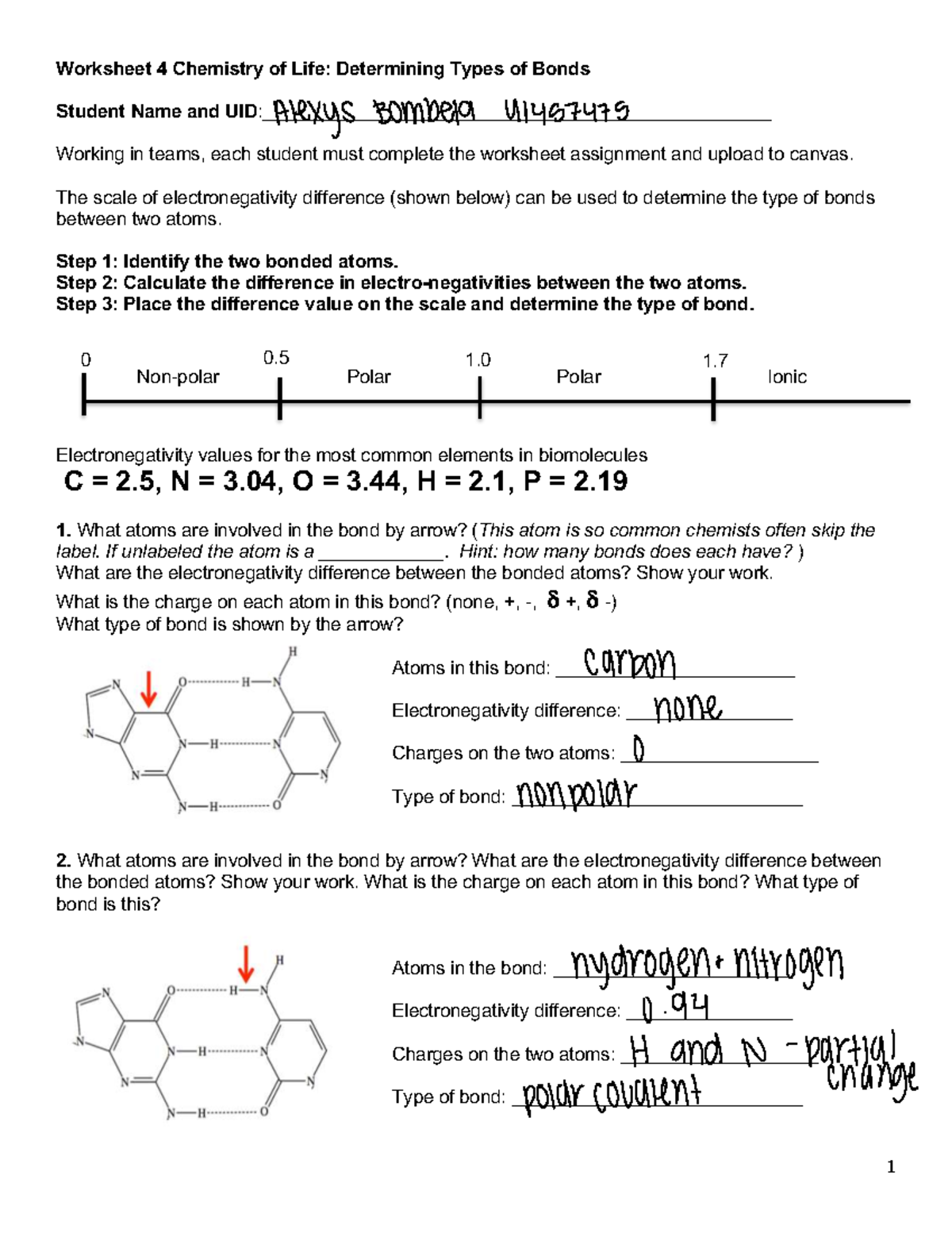 Chemistry of Life: Types of Bonds Worksheet 4 (DLT) - Studocu