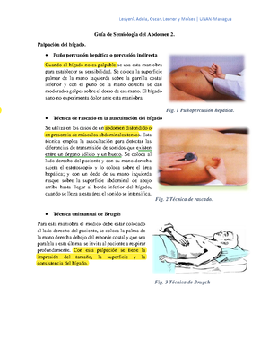 semiología cardiovascular choque de punta descripcion - CORAZON ...