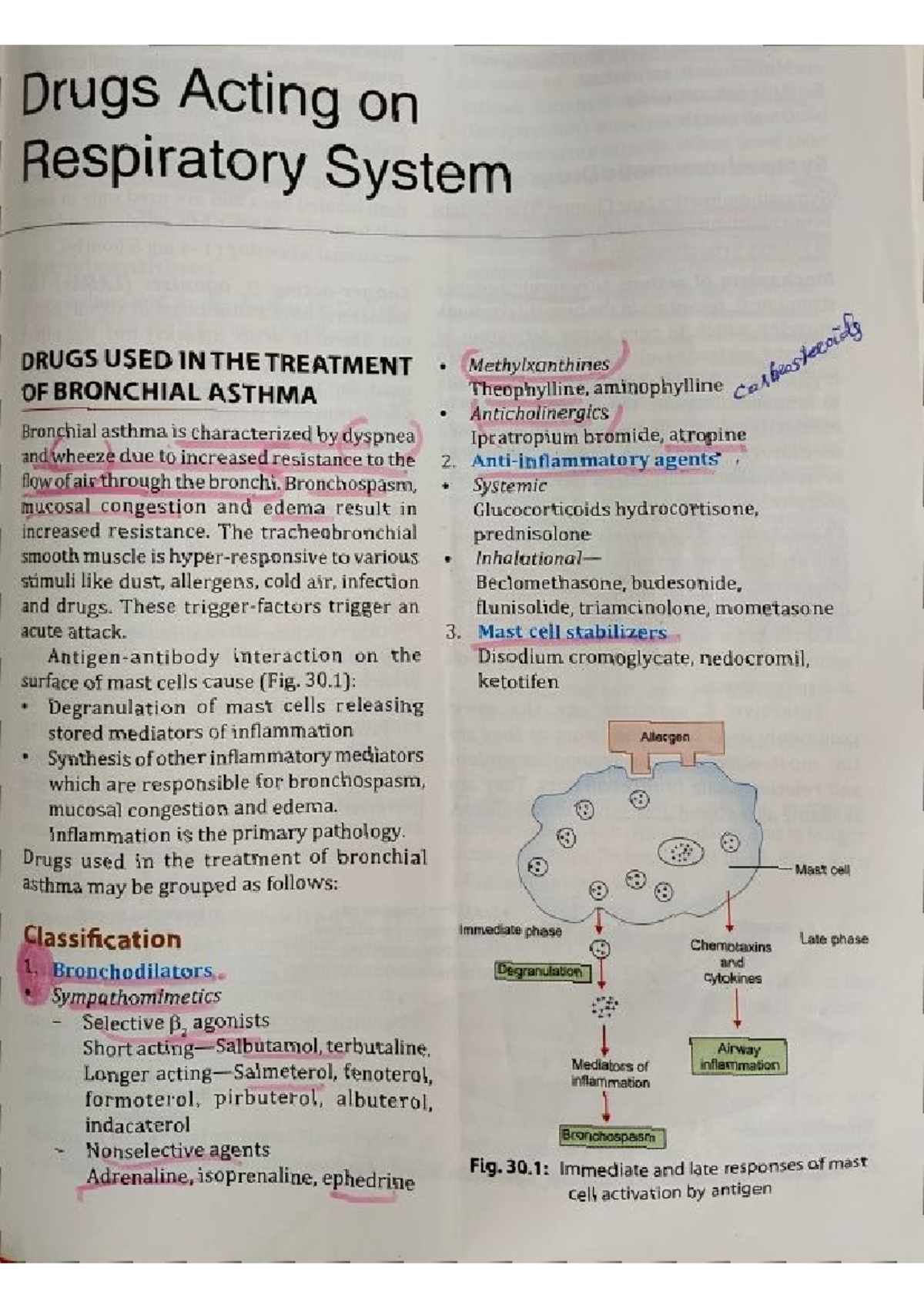 Respiratory System Pharmacology: Drug Actions and Interactions - Studocu