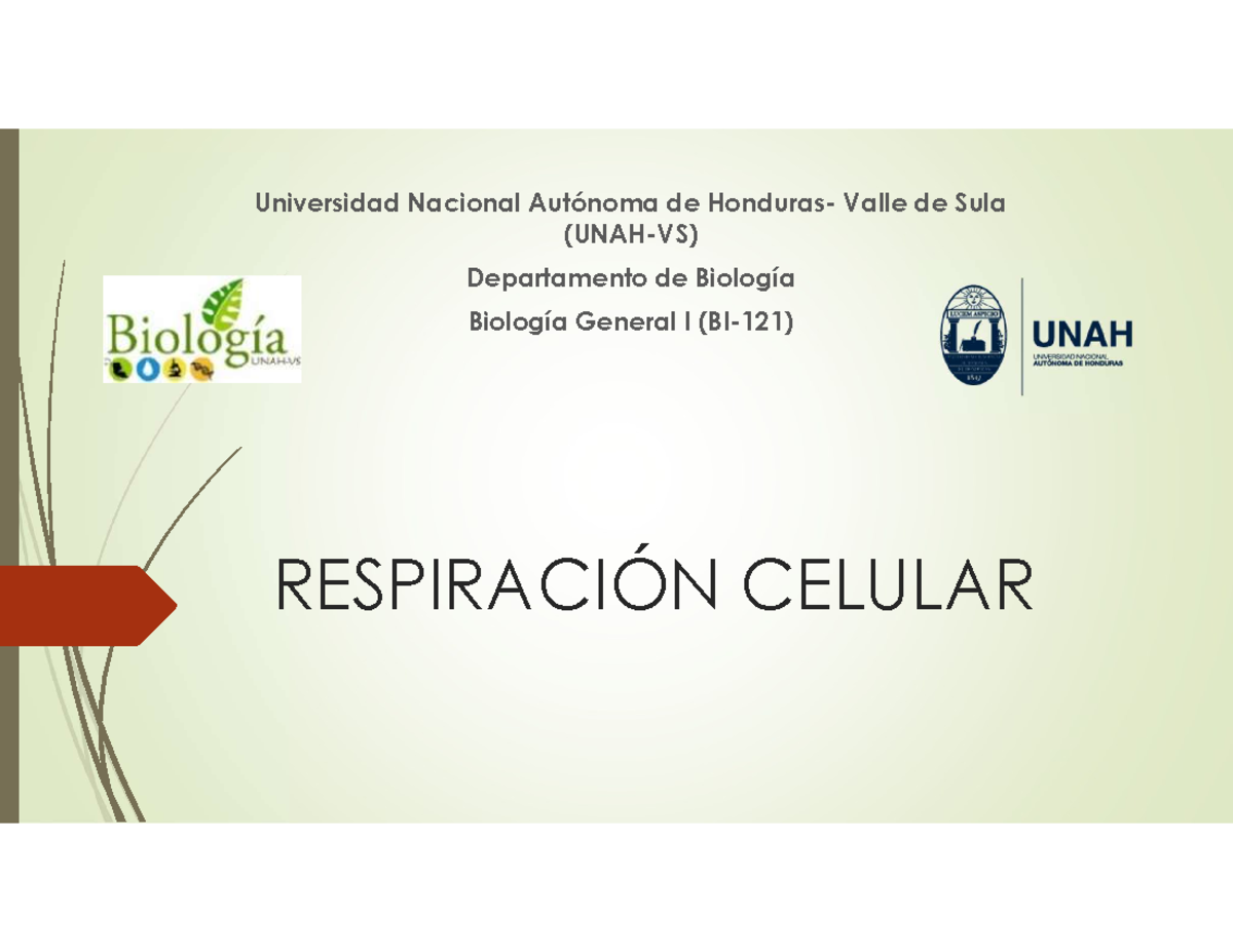 Biología General I: Respiración Celular y sus Tipos - Studocu