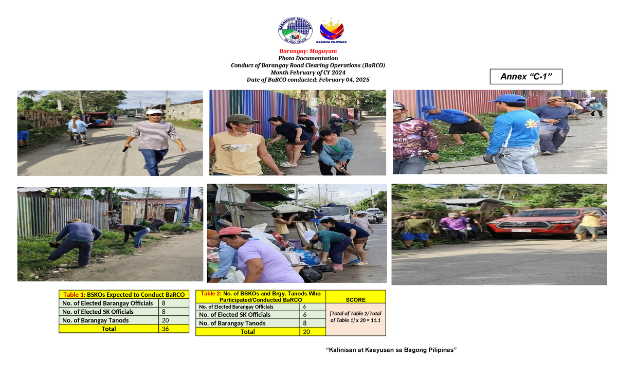 Barangay Maguyam Ba RCO Monthly Monitoring Report November 2024 ...