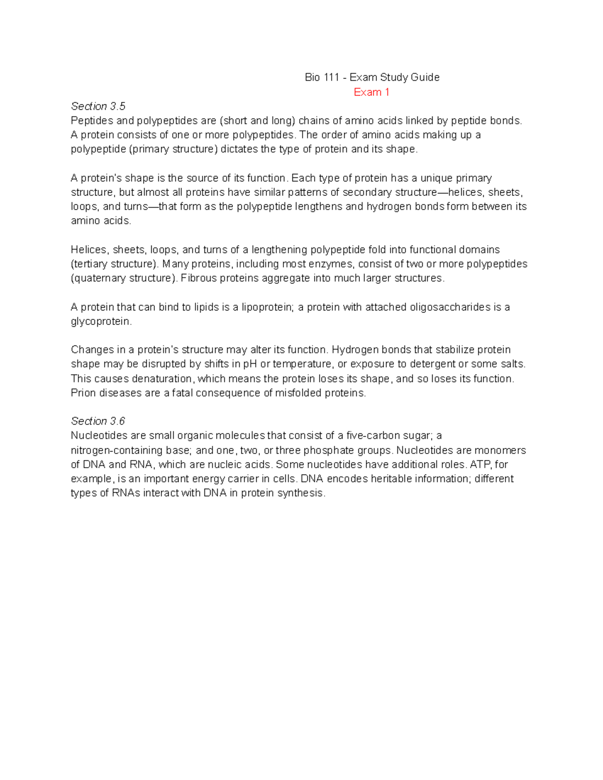 Bio 111 - Exam 1 Study Guide: Peptides, Proteins & Nucleotides - Studocu