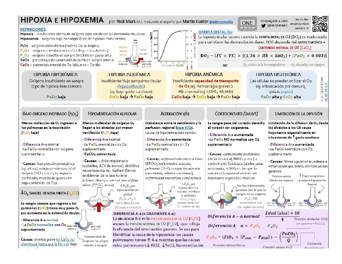 Mecanismos de Hipoxemia en la Hipoxia: Definiciones y Causas - Studocu