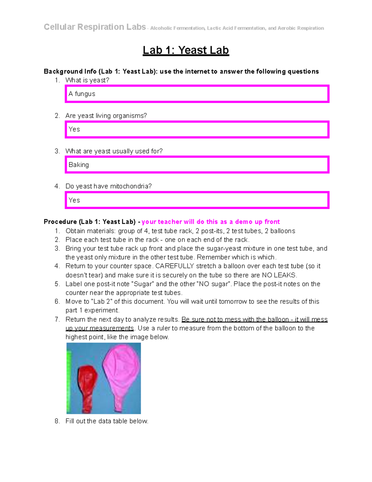Cellular Respiration Labs (Bio 101): Yeast & Muscle Fatigue Experiments ...