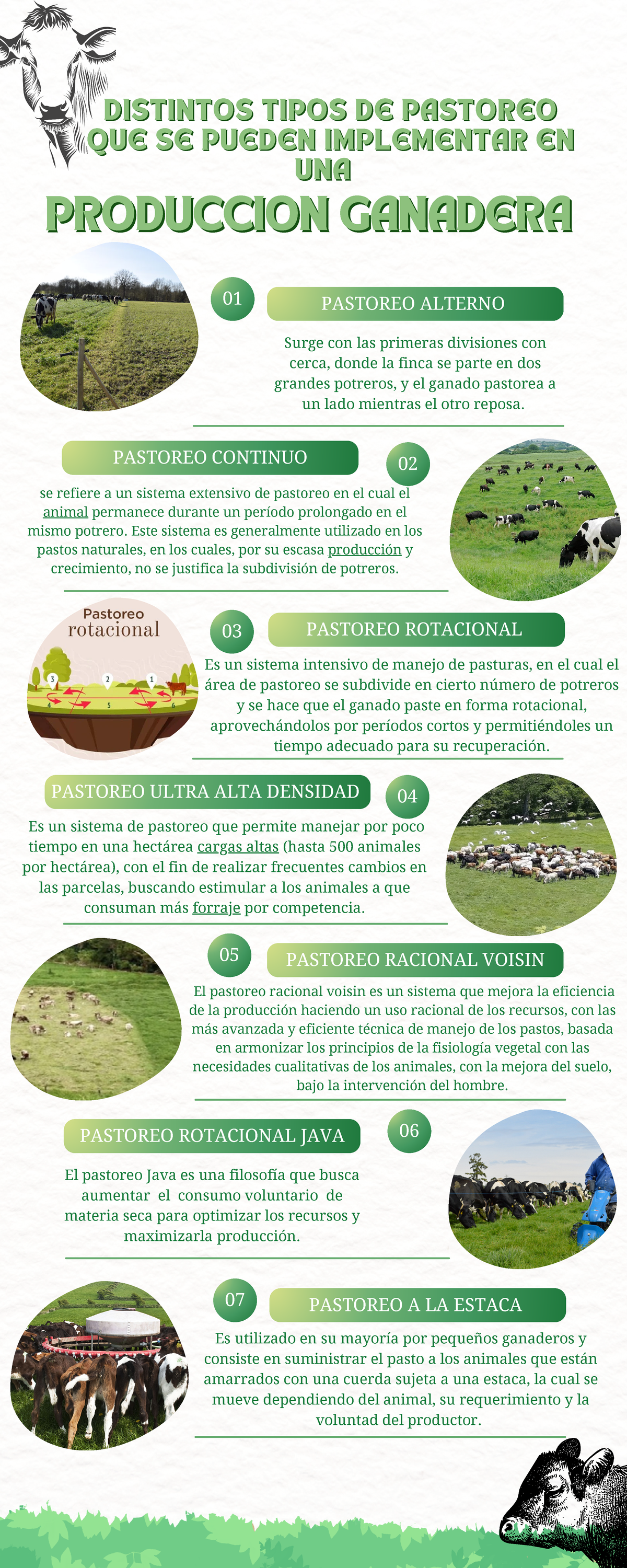 Tipos de Pastoreo en Producción Ganadera: Alterno, Continuo, Rotacional ...
