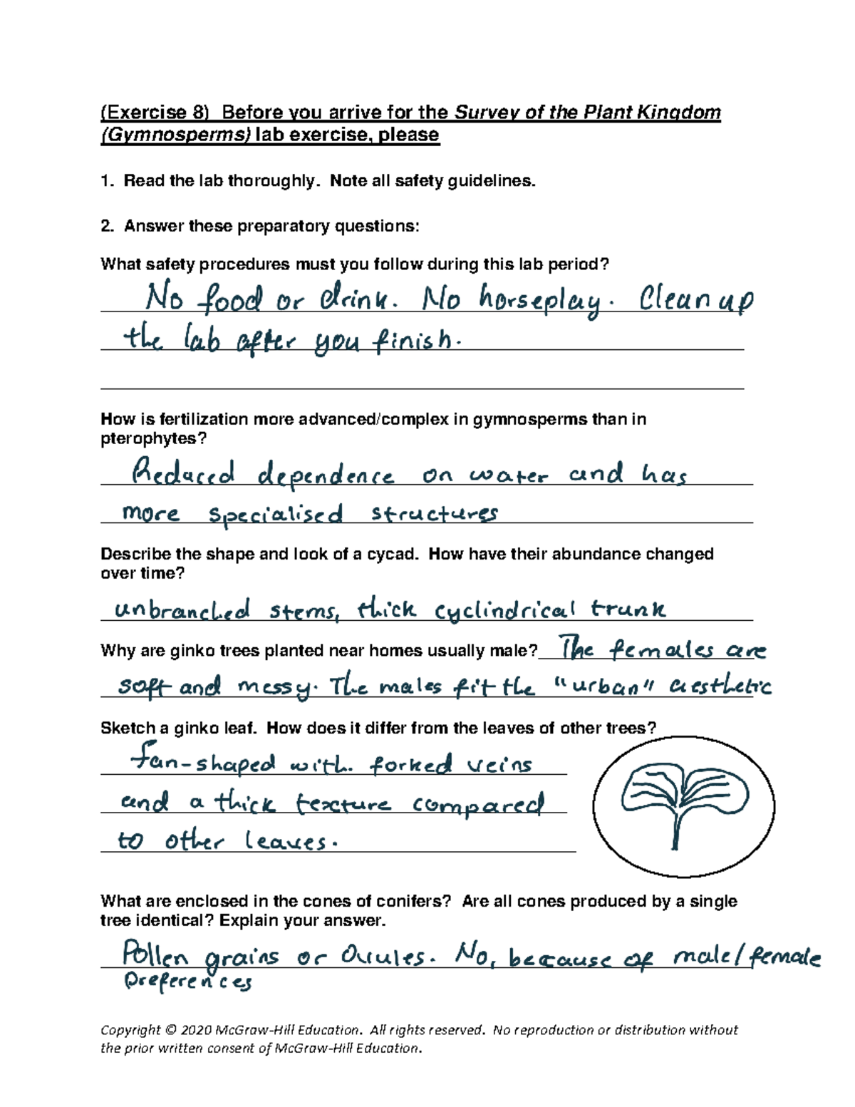 Exercise 8: Gymnosperms Lab Prep for Survey of Plants (08 30) - Studocu