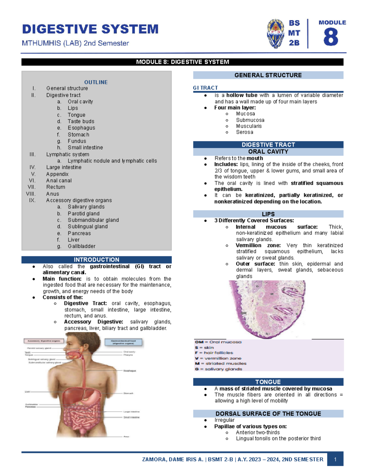 Histo LAB MOD 8: Digestive and Lymphatic Systems Overview - Studocu