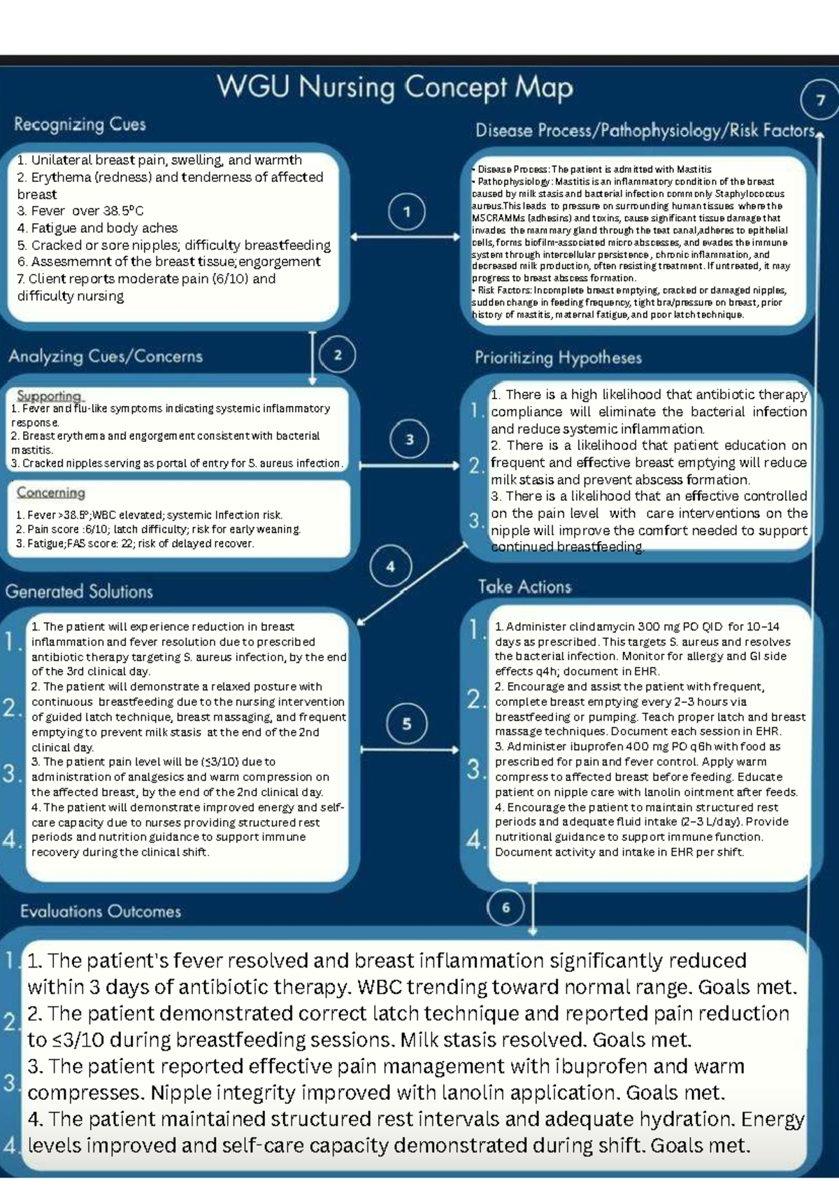 Mastitis Assessment & Management: WGU Concept Map v1 - Studocu