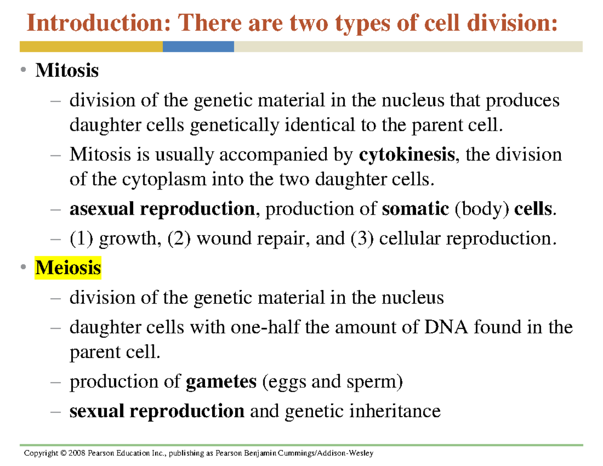 Meiosis: Understanding Phases & Genetic Variation in Cell Division ...