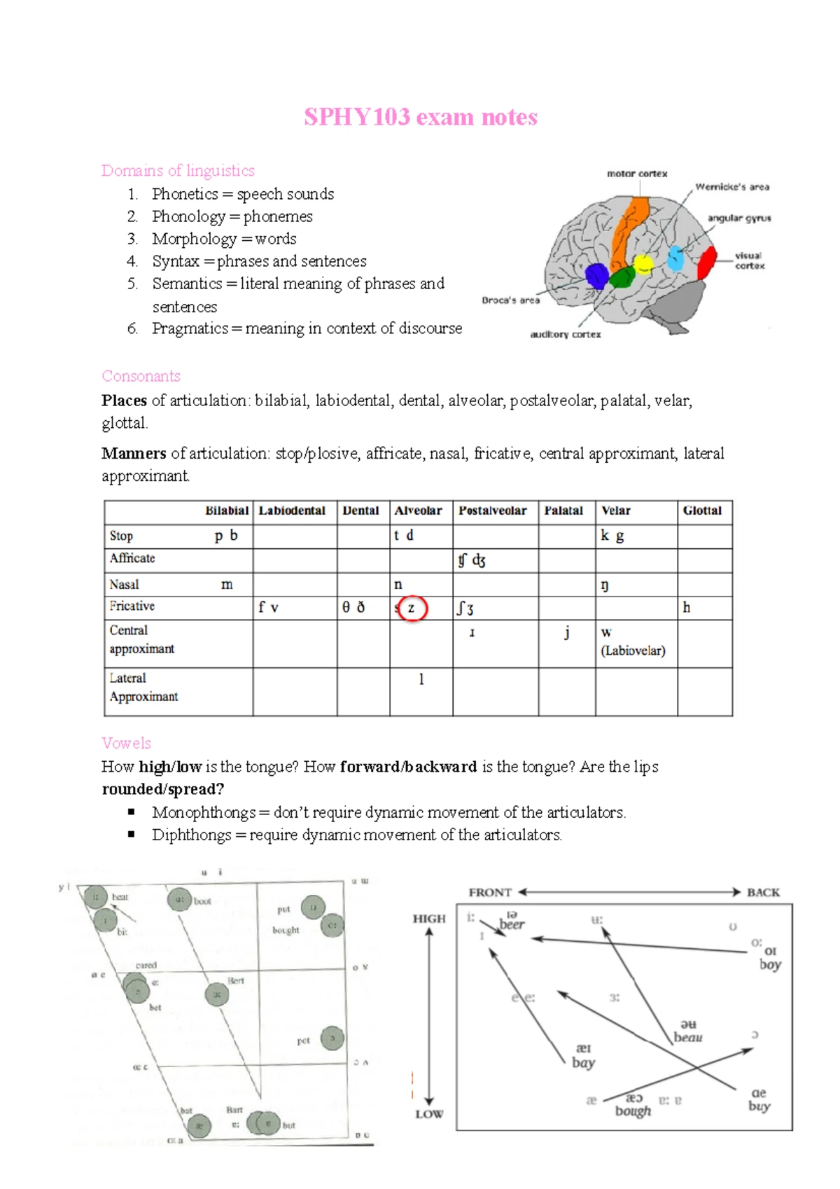 Handout DDK - Alternating Motion Rates (diadochokinetic rates): Use ...
