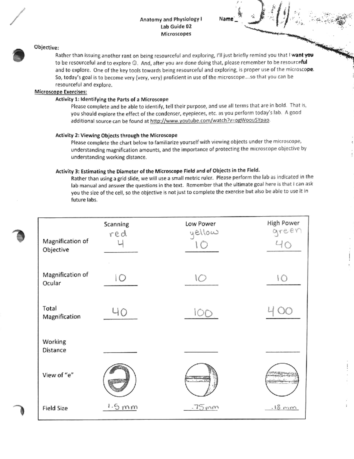 Lab Handout Guide - Anatomy and Physiology ! Lab Guide 02 Microscopes ...