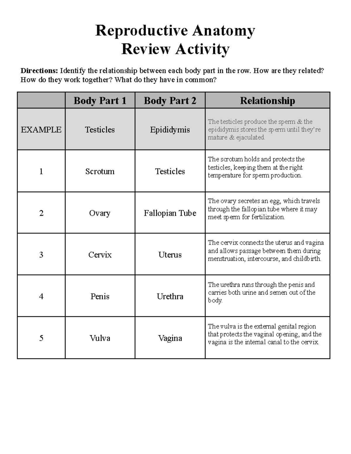 Reproductive Anatomy Review Activity: Body Part Relationships SLT #6 ...