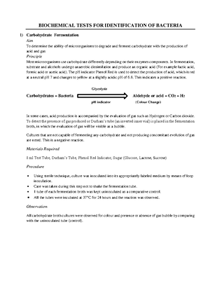 Bacteriology Flow Chart Identification of Bacteria - GRAM STAIN Gram ...