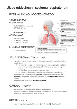 Płuca - Notatki z anatomii prawidłowej - płuca - anatomia prawidłowa ...