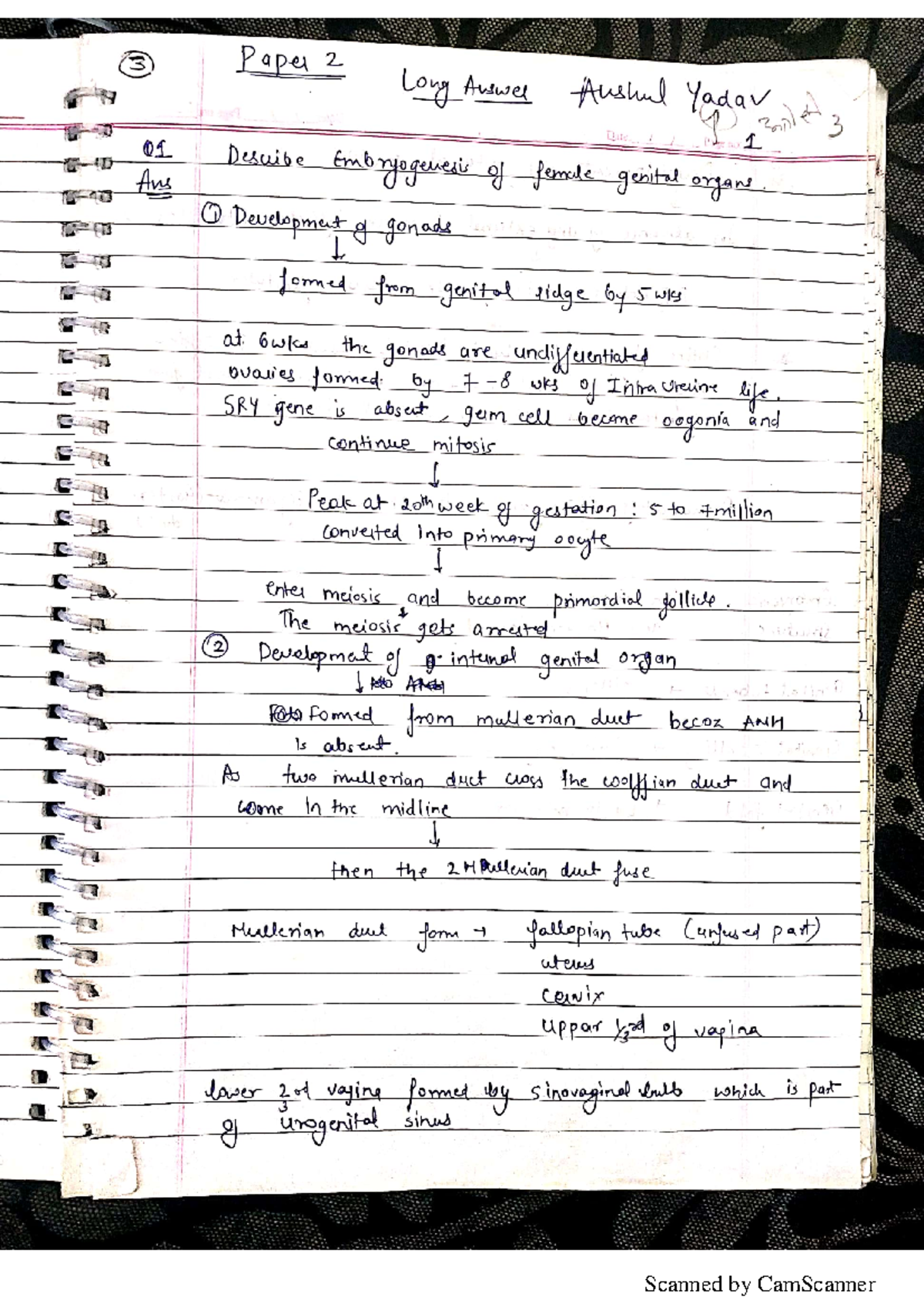 Gynecology - Previous year solved Mpmsu gynaecology quespaper - 3 Paper ...