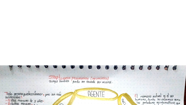 Neumonía: Agente, Transmisión y Vulnerabilidad (Curso ddddd) - Studocu