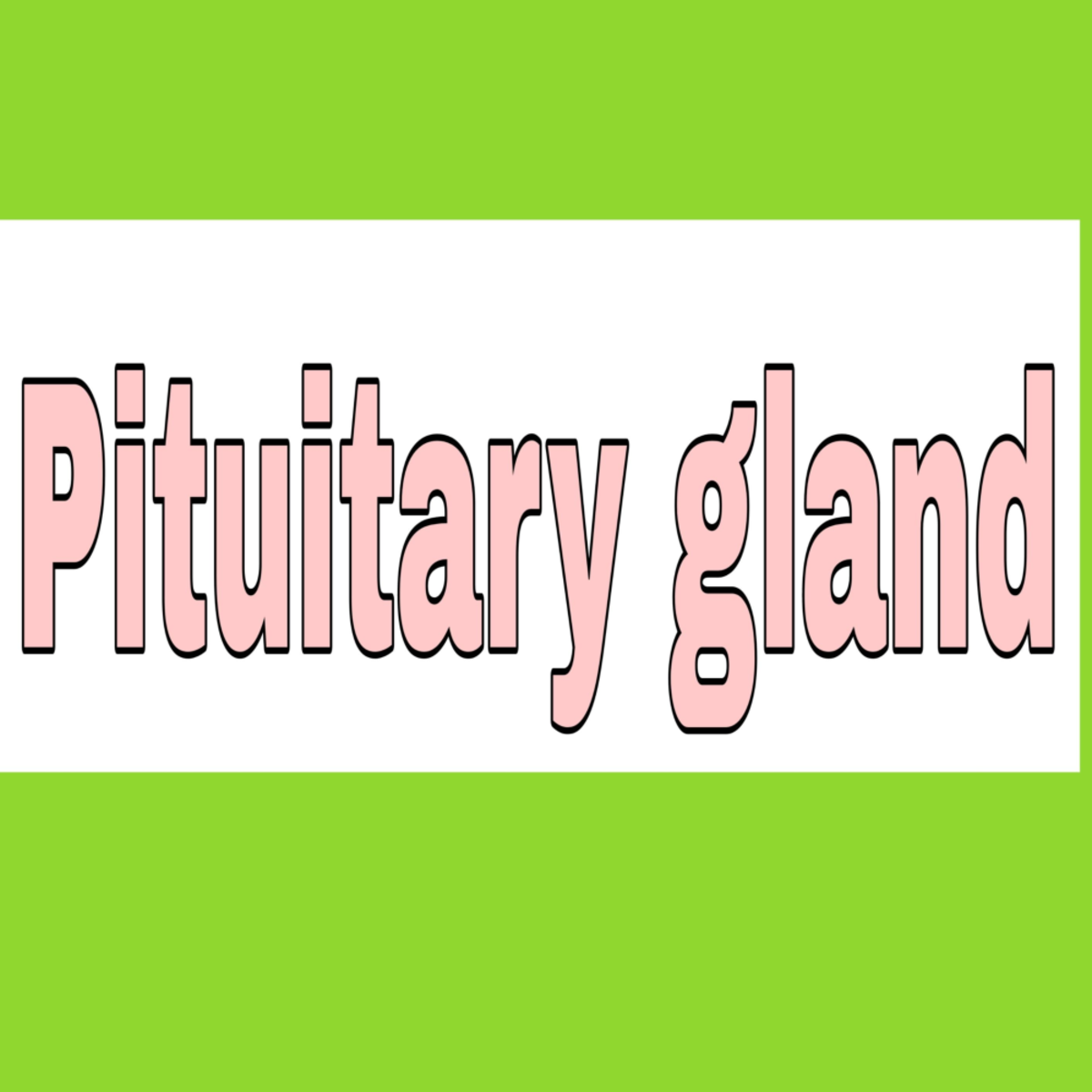 Anatomy Lab - Study of the Pituitary Gland and Related Structures - Studocu