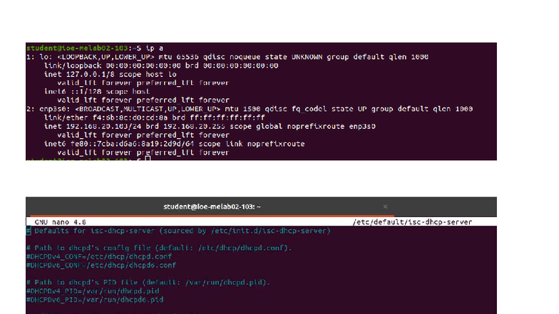 CNS Assign 12: DHCP Configuration and Remote Installation Guide - Studocu