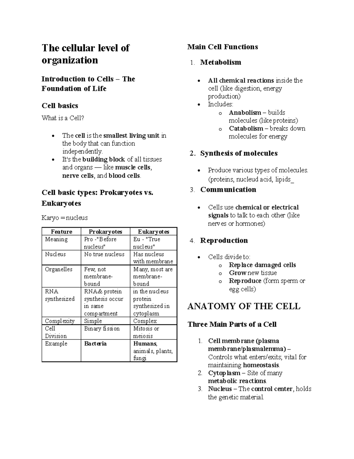 CELL 101: Understanding Main Functions and Structures of Cells - Studocu