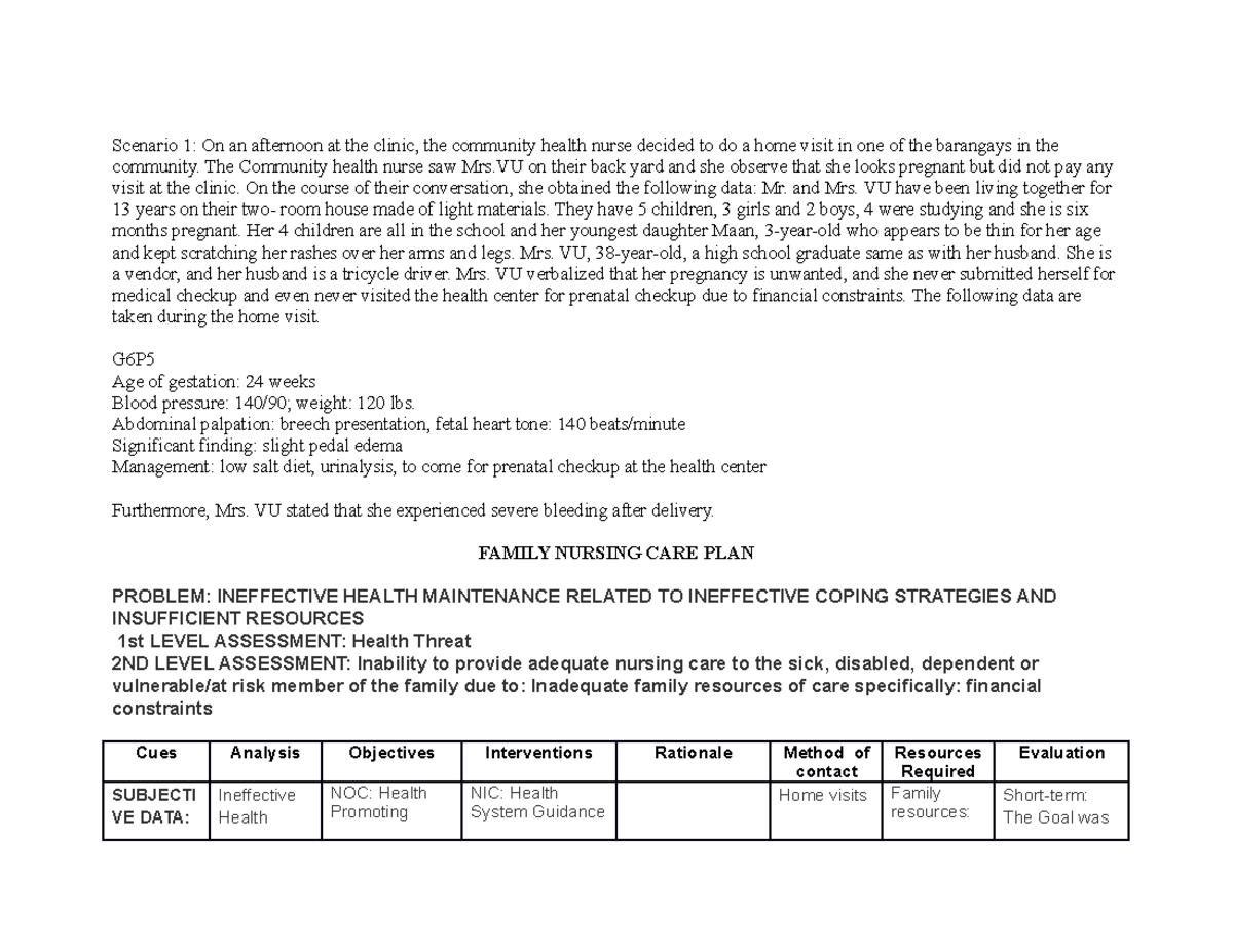 Family Nursing Care Plan Example for FNCP Activity 6-2 - Studocu