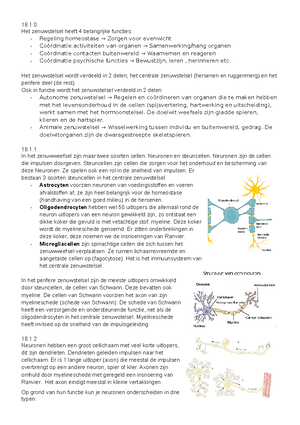 Katheterzorg Verslag: Inbreng, Soorten en Complicaties - Studeersnel